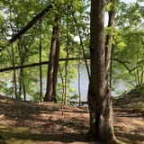 Washington Valley Park Trail, New Jersey - 648 Reviews, Map | AllTrails