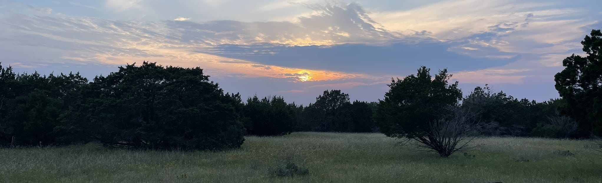 Dogleg Canyon and Cedar Chopper Loop: 181 foto - Texas | AllTrails