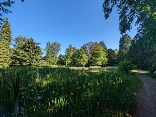 Best Easy Trails in Brandon Country Park | AllTrails