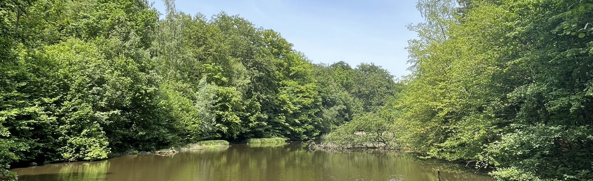 Hamme-Mille en het Meerdaalwoud: 114 foto's - Waals-Brabant, België ...