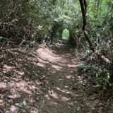 Appalachian Trail, Hosack Run, and Locust Gap Loop, Pennsylvania - 452 ...