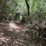 Appalachian Trail, Hosack Run, and Locust Gap Loop, Pennsylvania - 452 ...