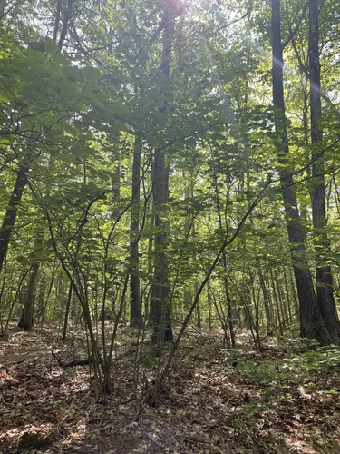 Best Hikes and Trails in Two Rivers State Park Recreation Area | AllTrails