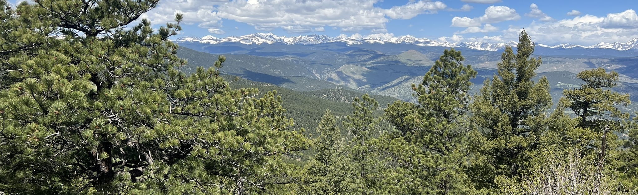 Green Mountain West Ridge Trail, Colorado - 5,971 Reviews, Map | AllTrails