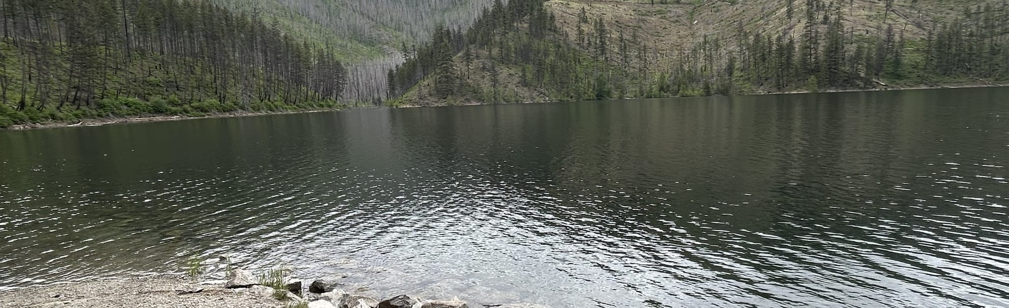 Browns Lake and Game Trail, Washington - 14 Reviews, Map | AllTrails