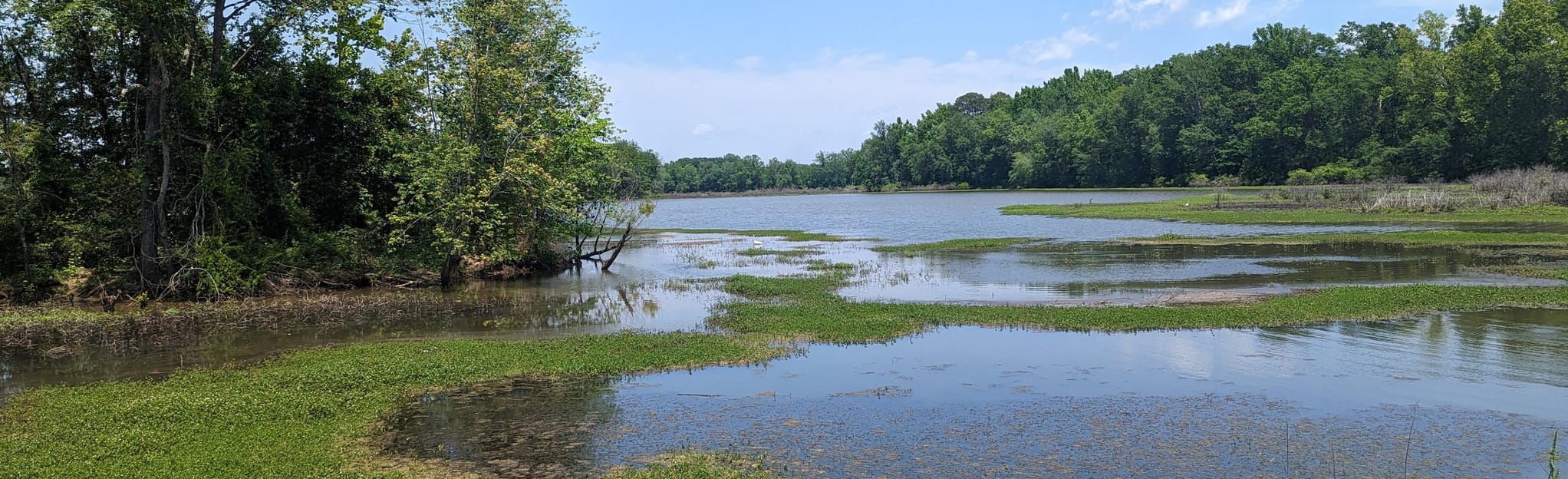 Wheeler Hiking and Biking trail, Alabama - 115 Reviews, Map | AllTrails