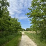 Effigy Tumuli Trail, Illinois - 165 Reviews, Map | AllTrails