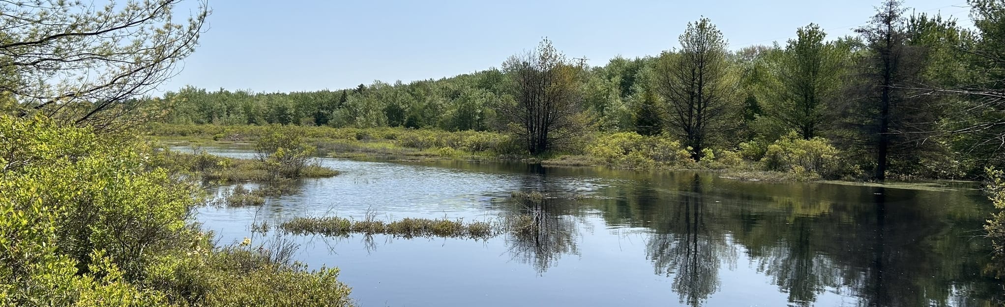 Thomas Darling Blue Loop: 260 Reviews, Map - Pennsylvania | AllTrails