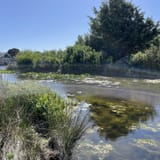 Devils Lake Boardwalk Trail, Oregon - 45 Reviews, Map | AllTrails