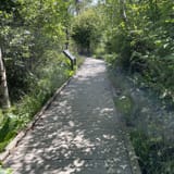 Devils Lake Boardwalk Trail, Oregon - 45 Reviews, Map | AllTrails