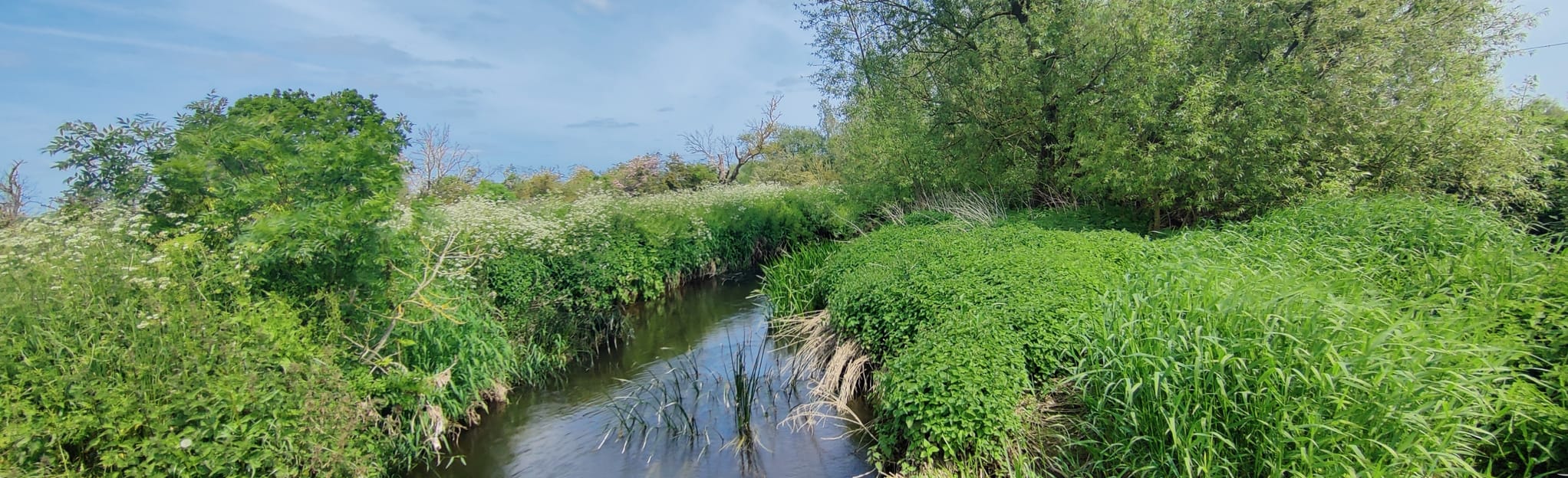 Cossington Meadows Circular via Tern Pool and Moor Pool, Leicestershire ...