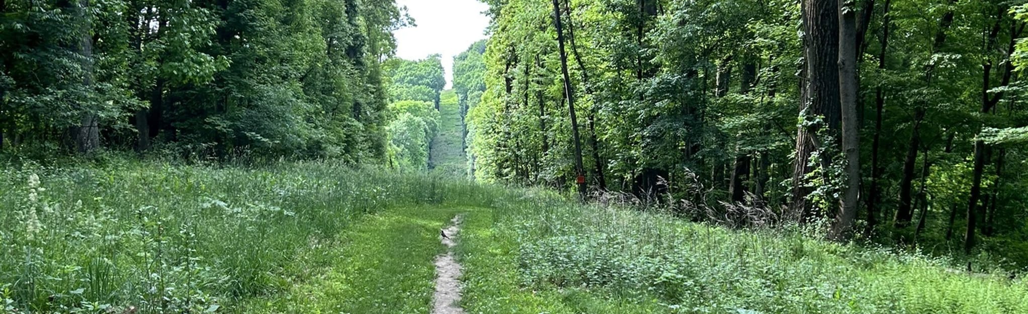 Rachel Carson Trail: Springdale to North Park, Pennsylvania - 115 ...