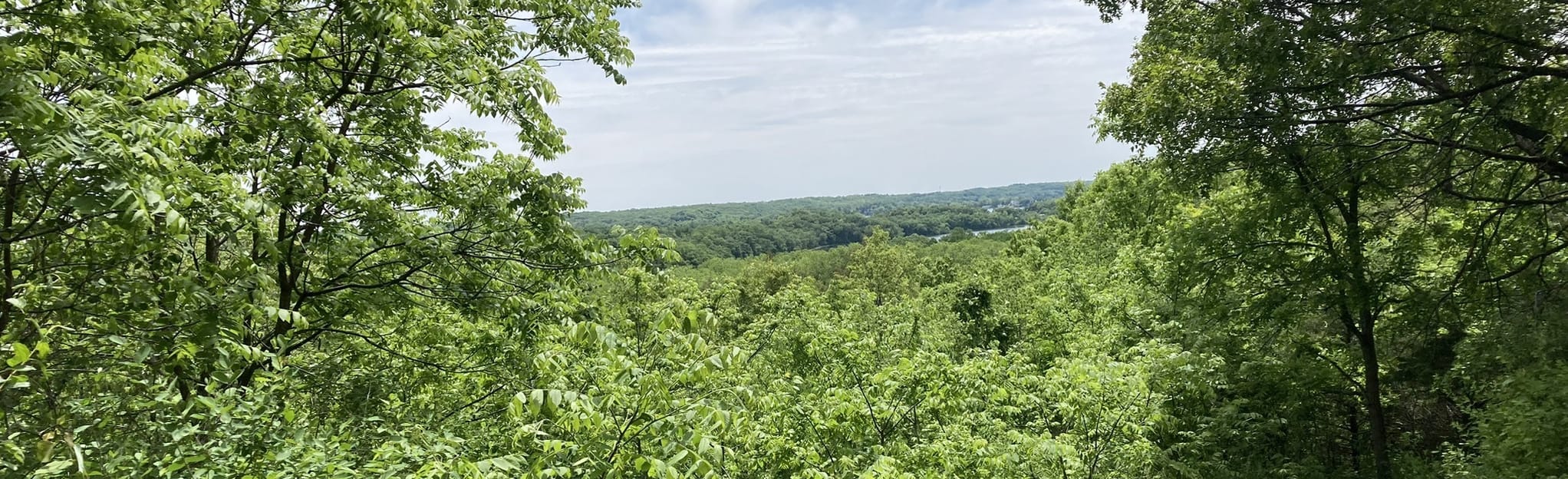 Ice Age Trail: Whitewater Lake, Wisconsin - 525 Reviews, Map | AllTrails