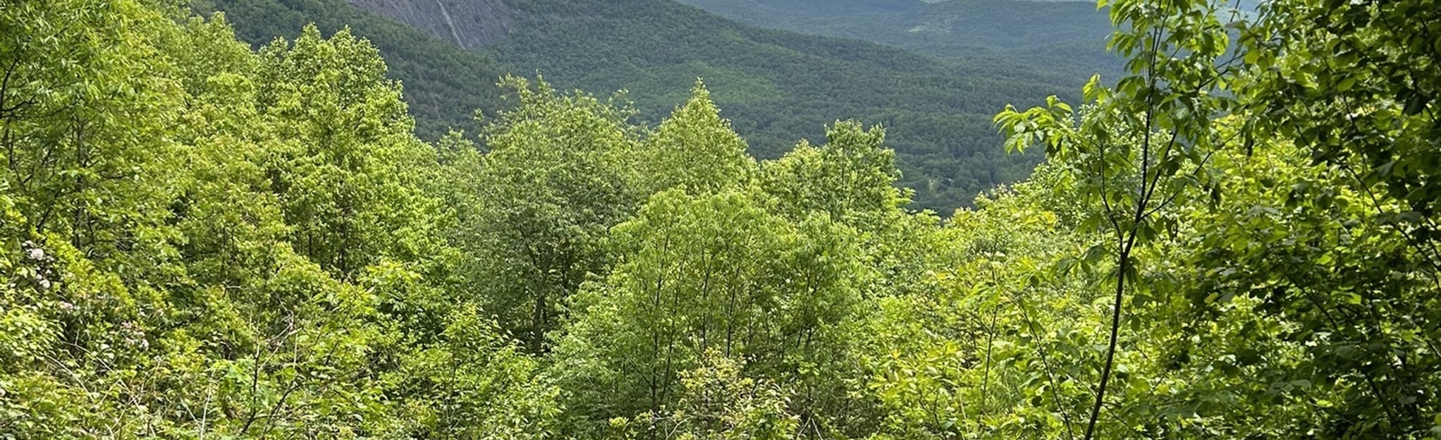 Sunset Rock Trail, North Carolina - 672 Reviews, Map | AllTrails