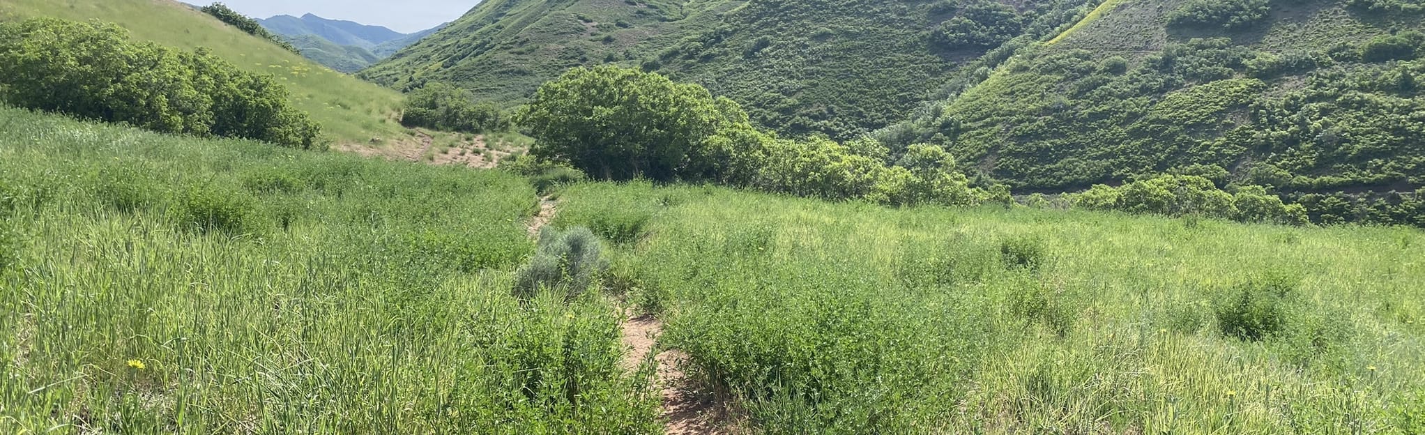 Red Butte Canyon Overlook, Utah - 348 Reviews, Map | AllTrails