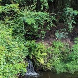 Bulls Bay Preserve Trail, Florida - 234 Reviews, Map | AllTrails