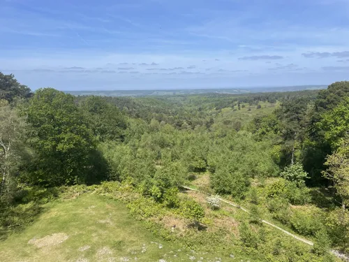 10 Best Hikes and Trails in Surrey Hills National Landscape (AONB ...