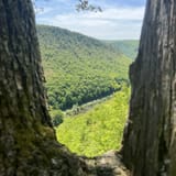 Tioga West Rim Trail, Pennsylvania - 527 Reviews, Map | AllTrails