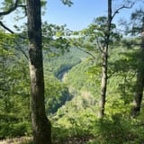 Tioga West Rim Trail, Pennsylvania - 527 Reviews, Map | AllTrails