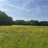 Peover Eye Circular, Cheshire, England - 91 Reviews, Map | AllTrails