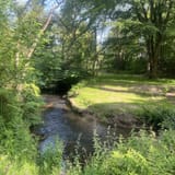 Peover Eye Circular, Cheshire, England - 91 Reviews, Map | AllTrails
