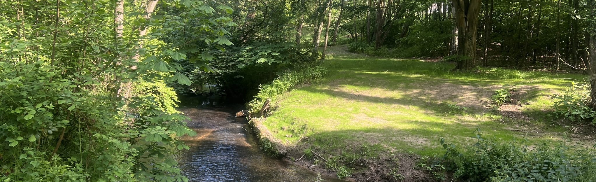 Peover Eye Circular: 69 Reviews, Map - Cheshire, England | AllTrails