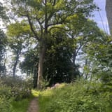 Peover Eye Circular, Cheshire, England - 91 Reviews, Map | AllTrails
