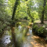 Peover Eye Circular, Cheshire, England - 91 Reviews, Map | AllTrails