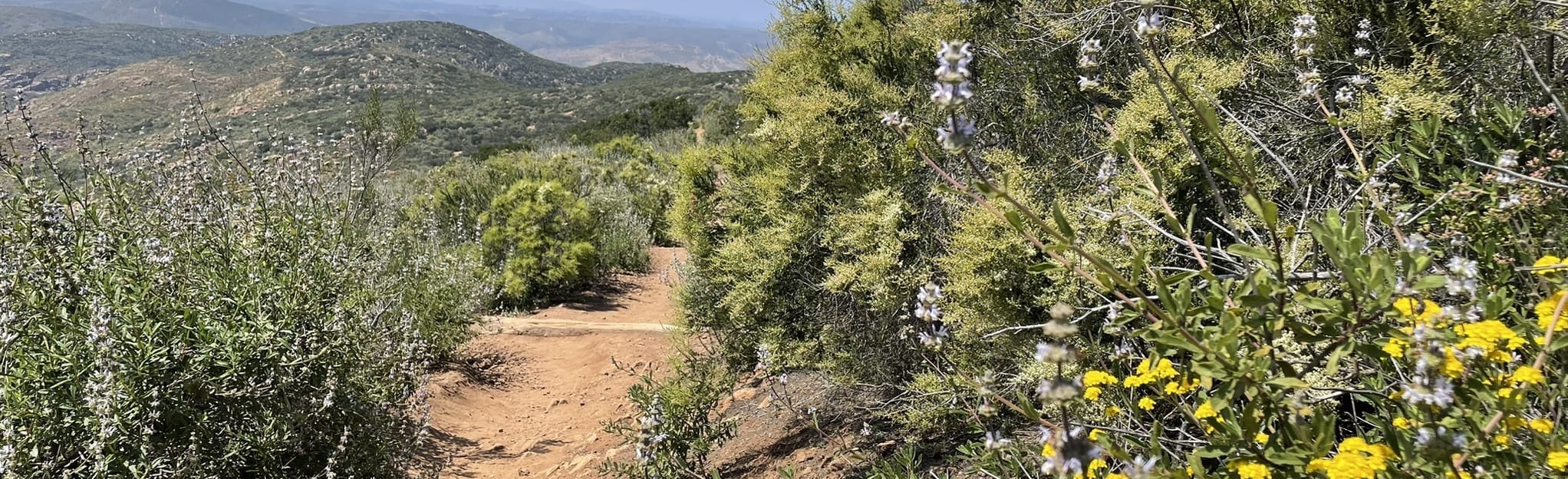 Cowles Mountain via Big Rock Park and Secret Trail Loop: 4,964 fotos ...