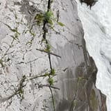 Granite Falls (Fish Ladder) Trail, Washington - 586 Reviews, Map ...