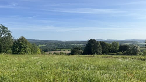 2023 Best 10 Walking Trails in Surrey Hills Area of Outstanding Natural ...