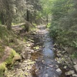 Snake Woodland and Snake Path Circular, Derbyshire, England - 223 ...