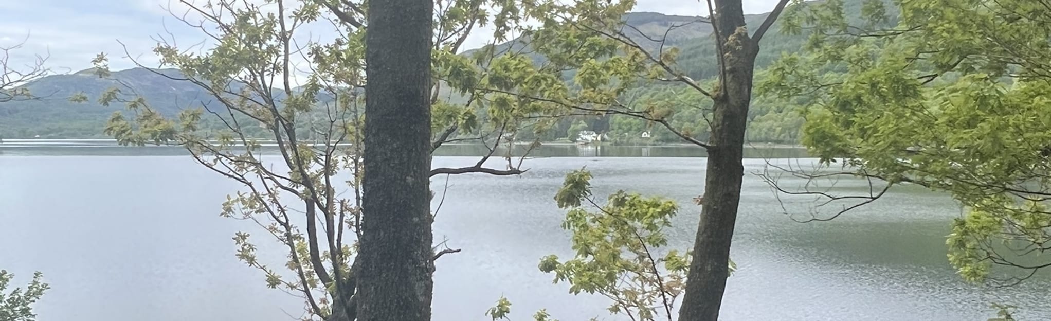 Loch Ard and Lochan Spling Circular: 436 fotos - Stirling, Escócia ...