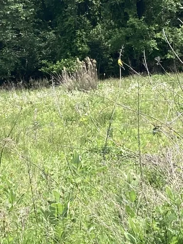 Beste wandelingen en routes in Benjamin Rush State Park | AllTrails