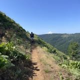 Weldon Wagon Road Trail, Washington - 507 Reviews, Map | AllTrails