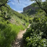 Dry Canyon Trail, Utah - 543 Reviews, Map | AllTrails