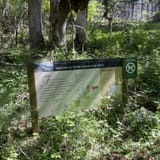 Weldon Wagon Road Trail, Washington - 507 Reviews, Map | AllTrails