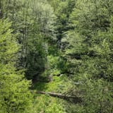 Virginia Creeper National Recreational Trail, Virginia - 301 Reviews ...