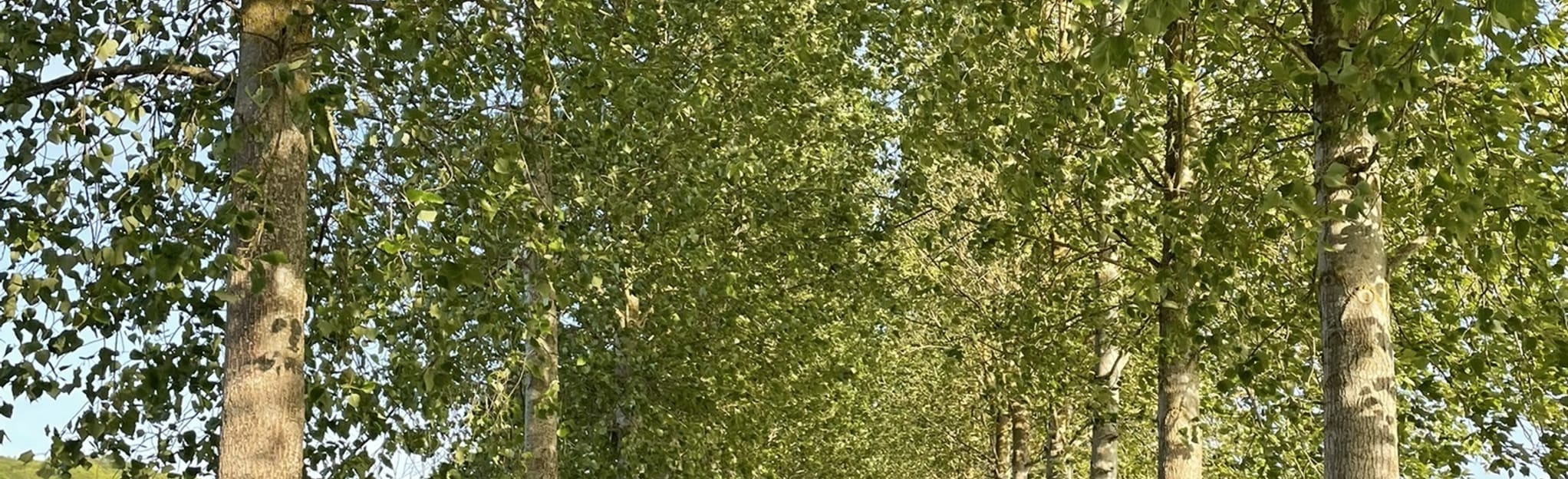 Boxford Circular, Berkshire, England - 20 Reviews, Map | AllTrails