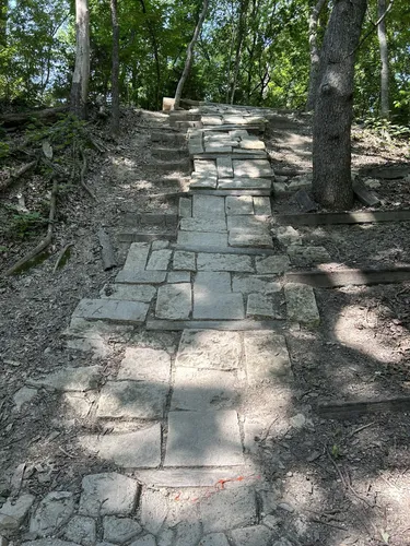 Best Hikes and Trails in Erwin Municipal Park | AllTrails