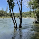 East Ridge and Long Valley Trail Loop, California - 881 Reviews, Map ...