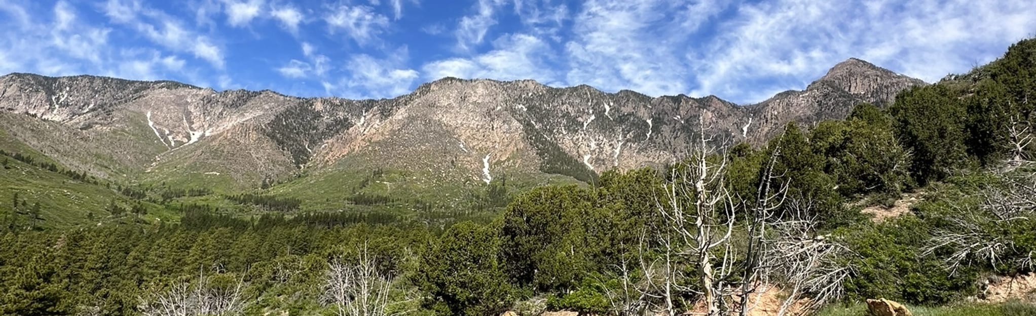 Peak 9380 Big Point: 9 Reviews, Map - Utah | AllTrails