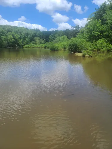 Best Hikes and Trails in Long Cane Scenic Area | AllTrails