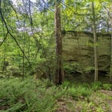 Tanbark Trail, Pennsylvania - 141 Reviews, Map | AllTrails