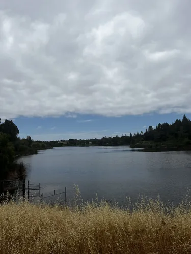 Best Hikes and Trails in Dan Foley Park | AllTrails