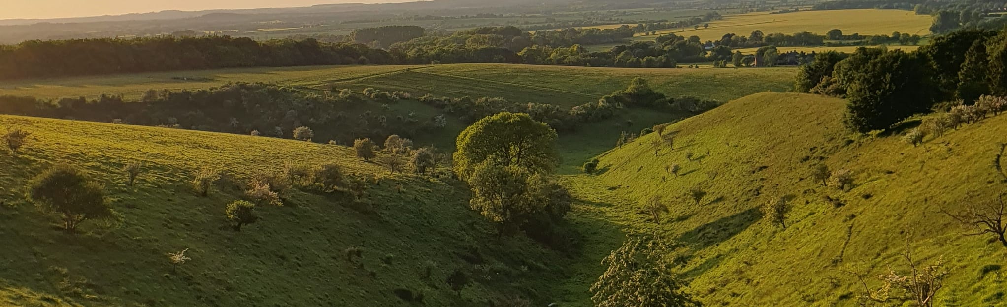 Deacons Hill and Pegsden Hills Circular, 116 Fotos - Hertfordshire ...