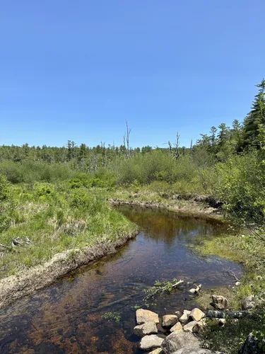 Best Hikes and Trails in Tully Lake Recreation Area | AllTrails