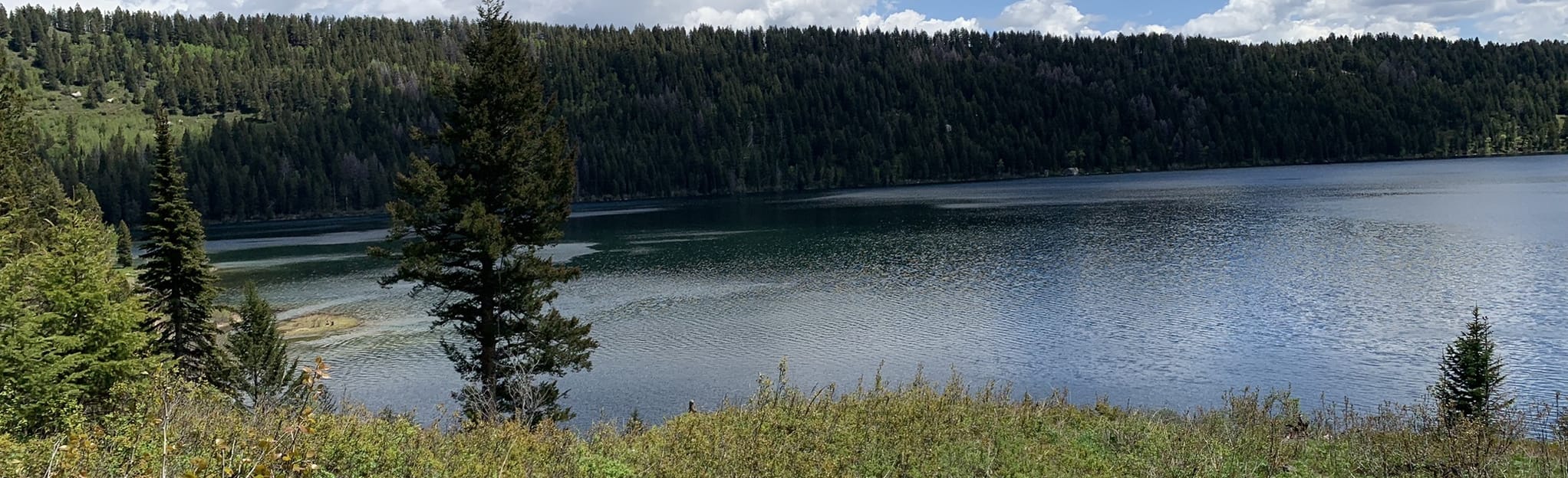 Phelps Lake, Lake Creek, and Woodland Loop, Wyoming - 2,798 Reviews ...