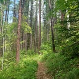 Hall Mountain Trail, Washington - 47 Reviews, Map | AllTrails
