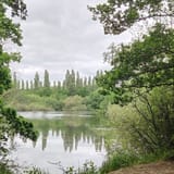 Brandon Marsh Nature Reserve Circular, West Midlands, England - 12 ...